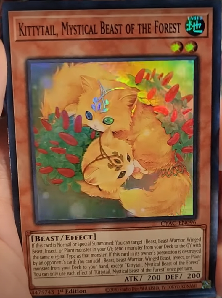 YGOrganization | [CYAC-EN] Imported Cards