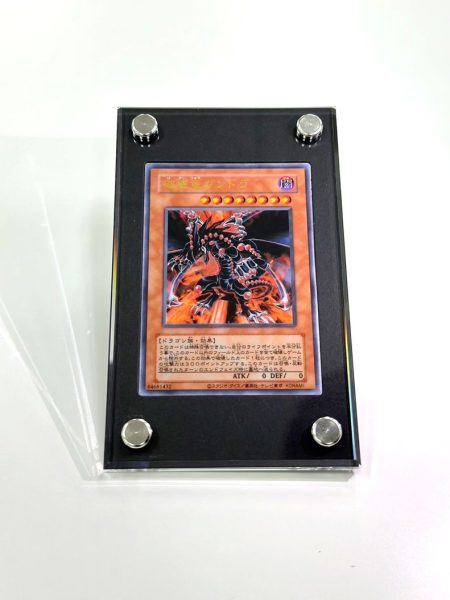 YGOrganization | Top Cut Prizes from YCSJ Tokyo 2024 [OCG]
