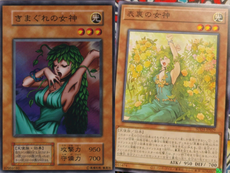 YGOrganization | The Remaining Five Cards [SUDA]
